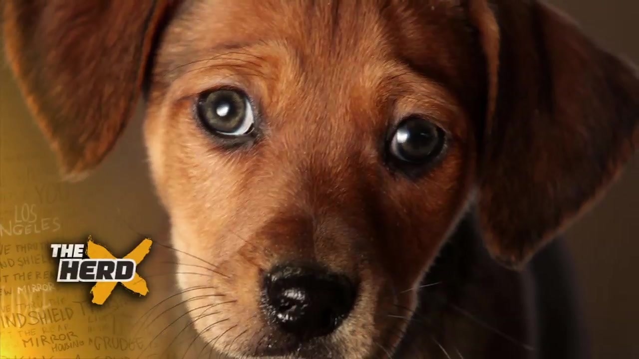 Best of The Herd with Colin Cowherd on FS1 ' August 2, 2017 ' THE HERD | FOX Sports