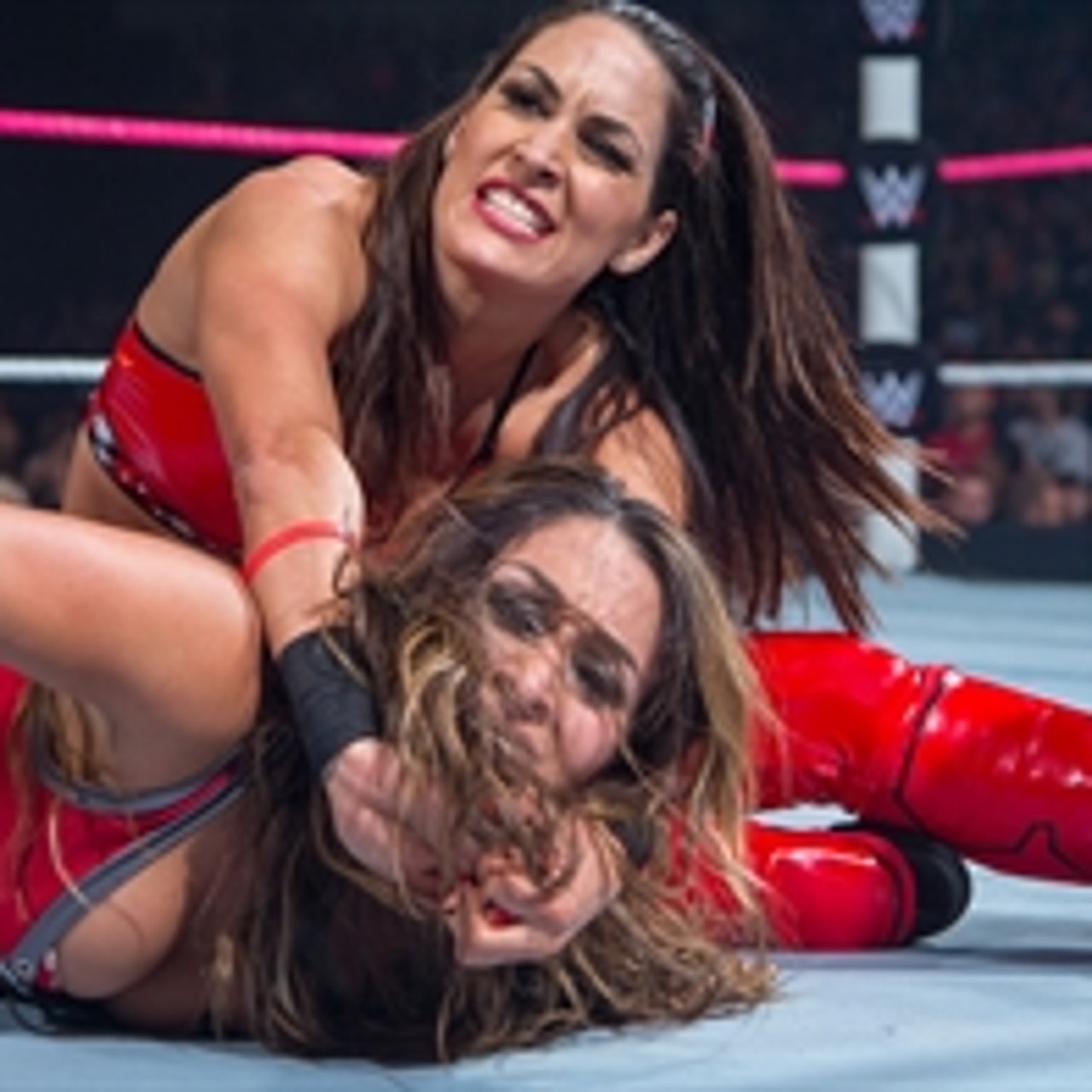 brie bella intergender