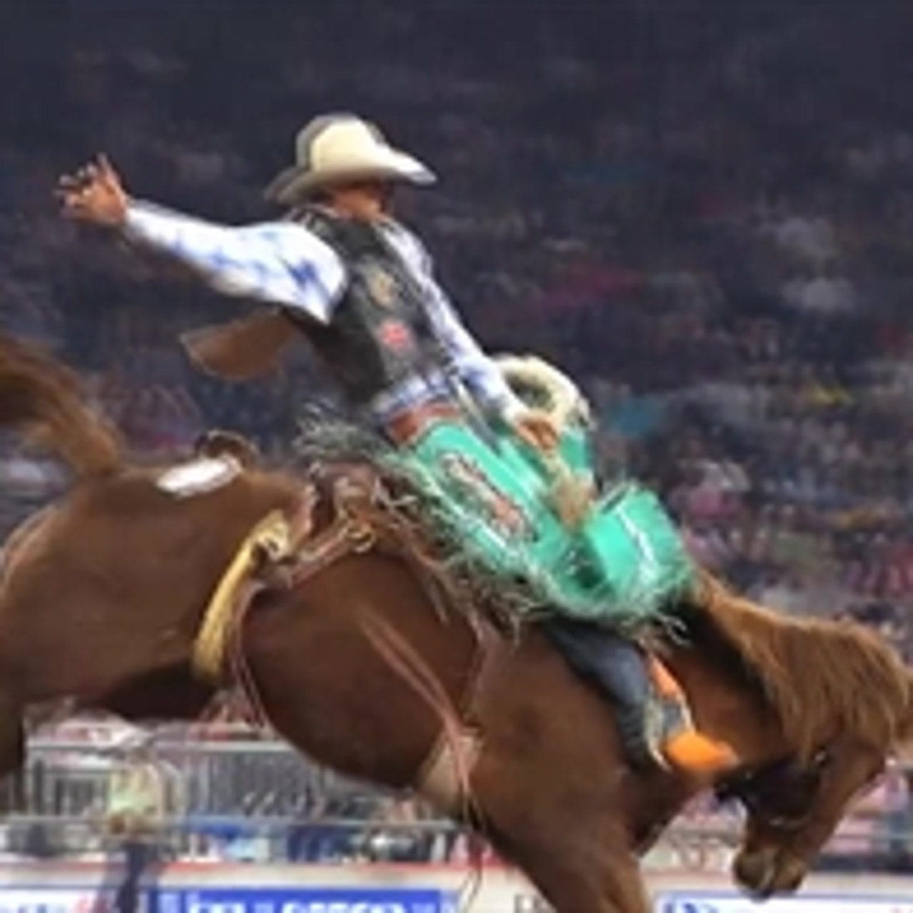 Sam Willis Rodeo
