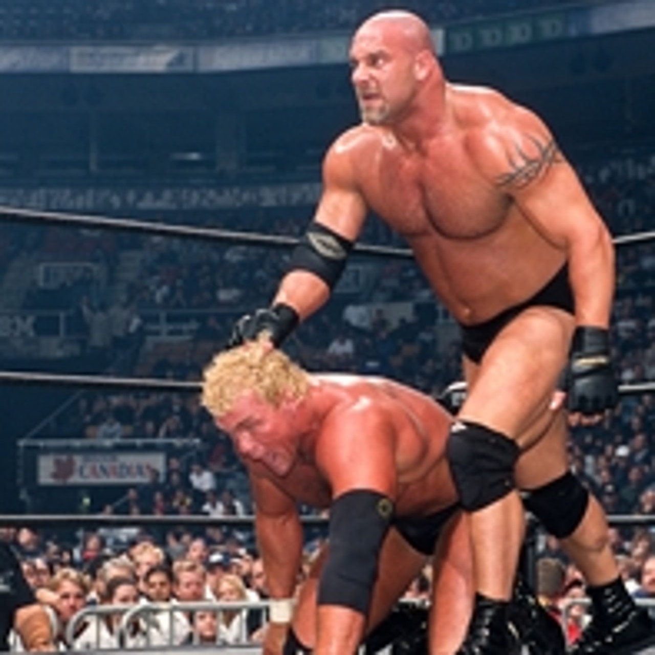 sid vicious wcw theme