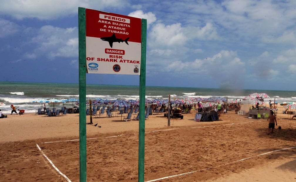 Recife works to warn World Cup visitors of shark attacks | FOX Sports