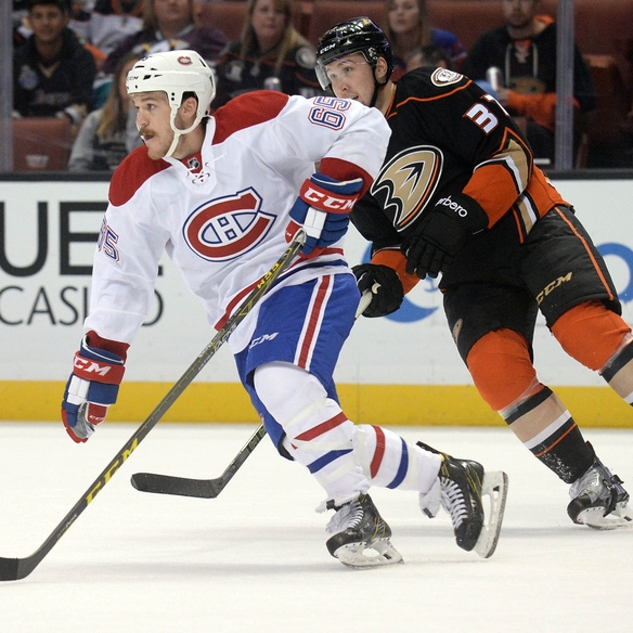 Andrew Shaw Nhl