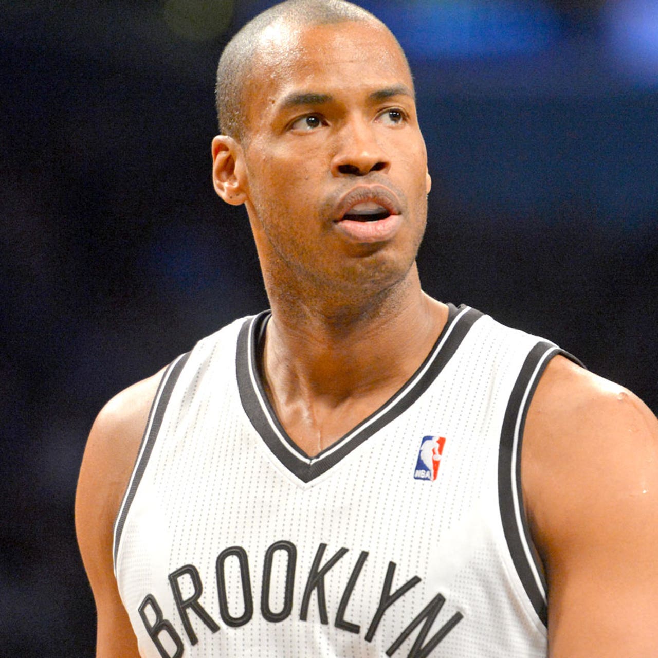 Jason Collins Grizzlies