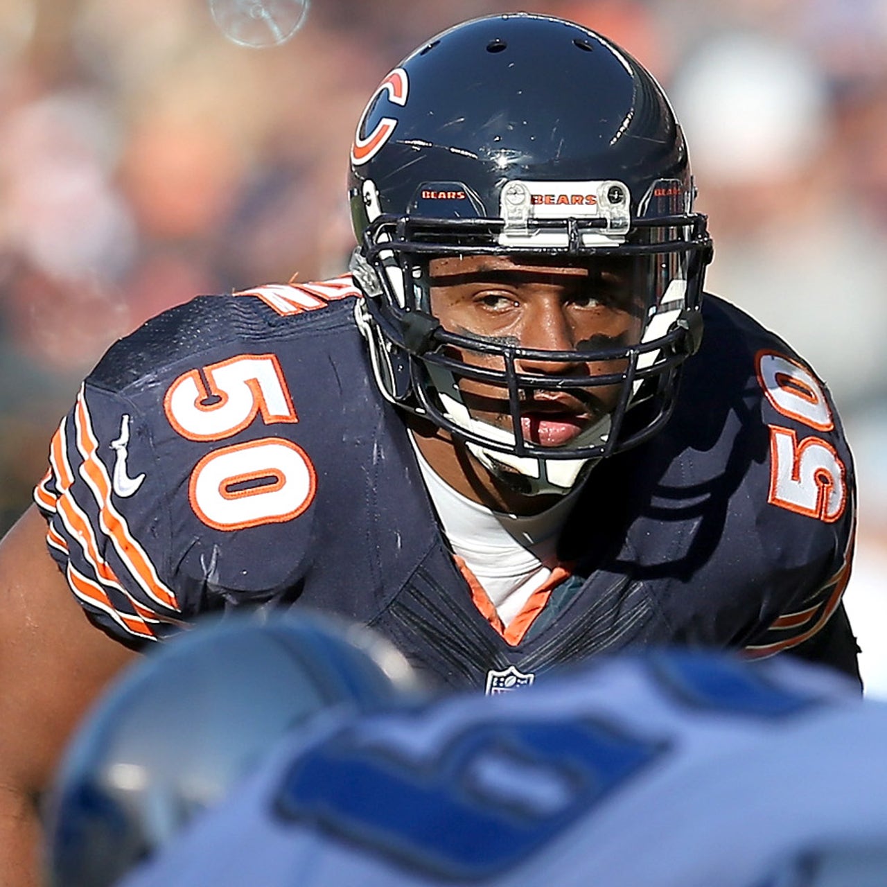 James Anderson Bears