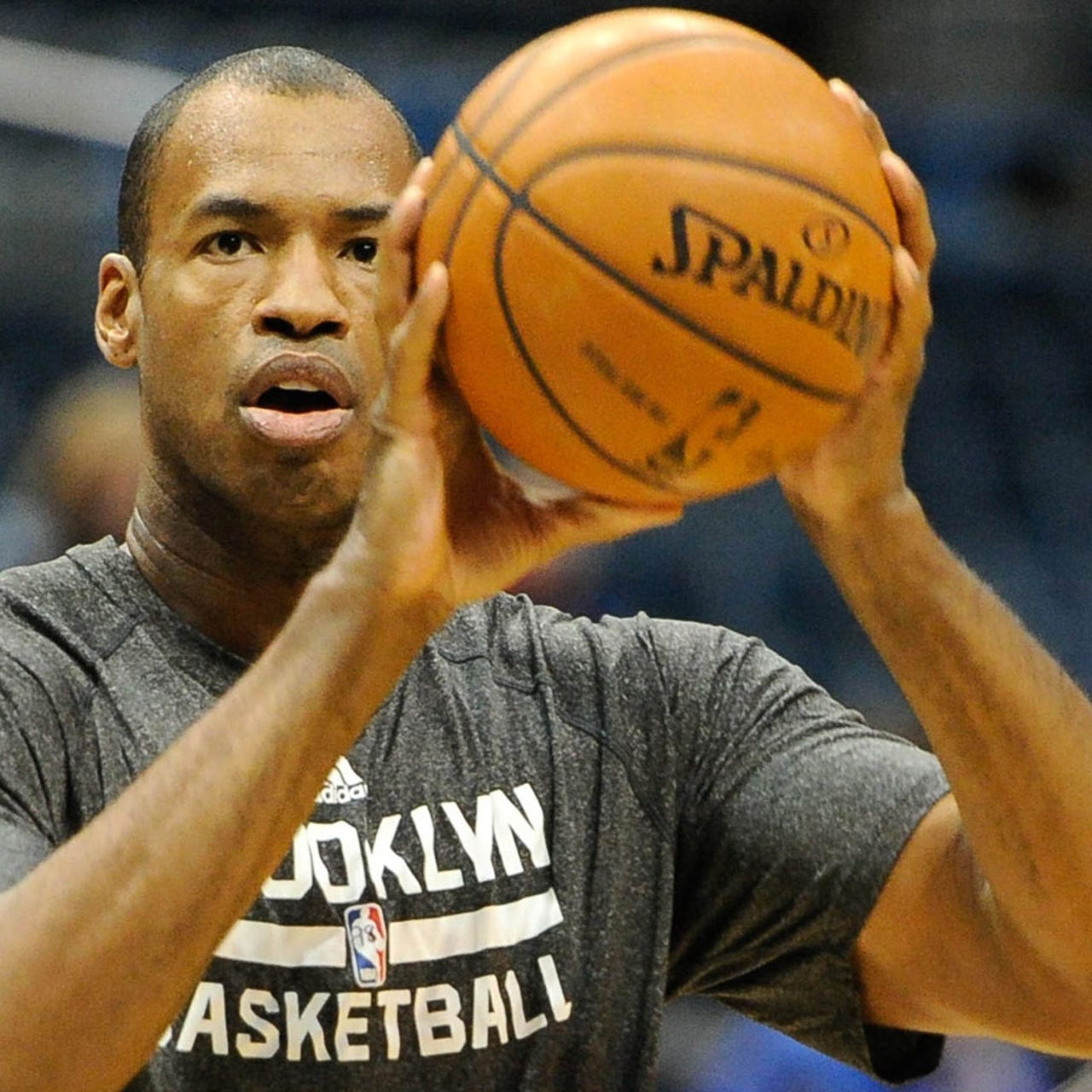 Jason Collins Grizzlies