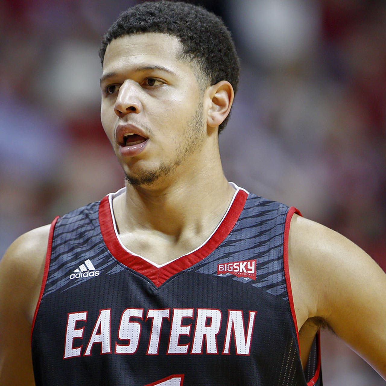 tyler harvey fallows