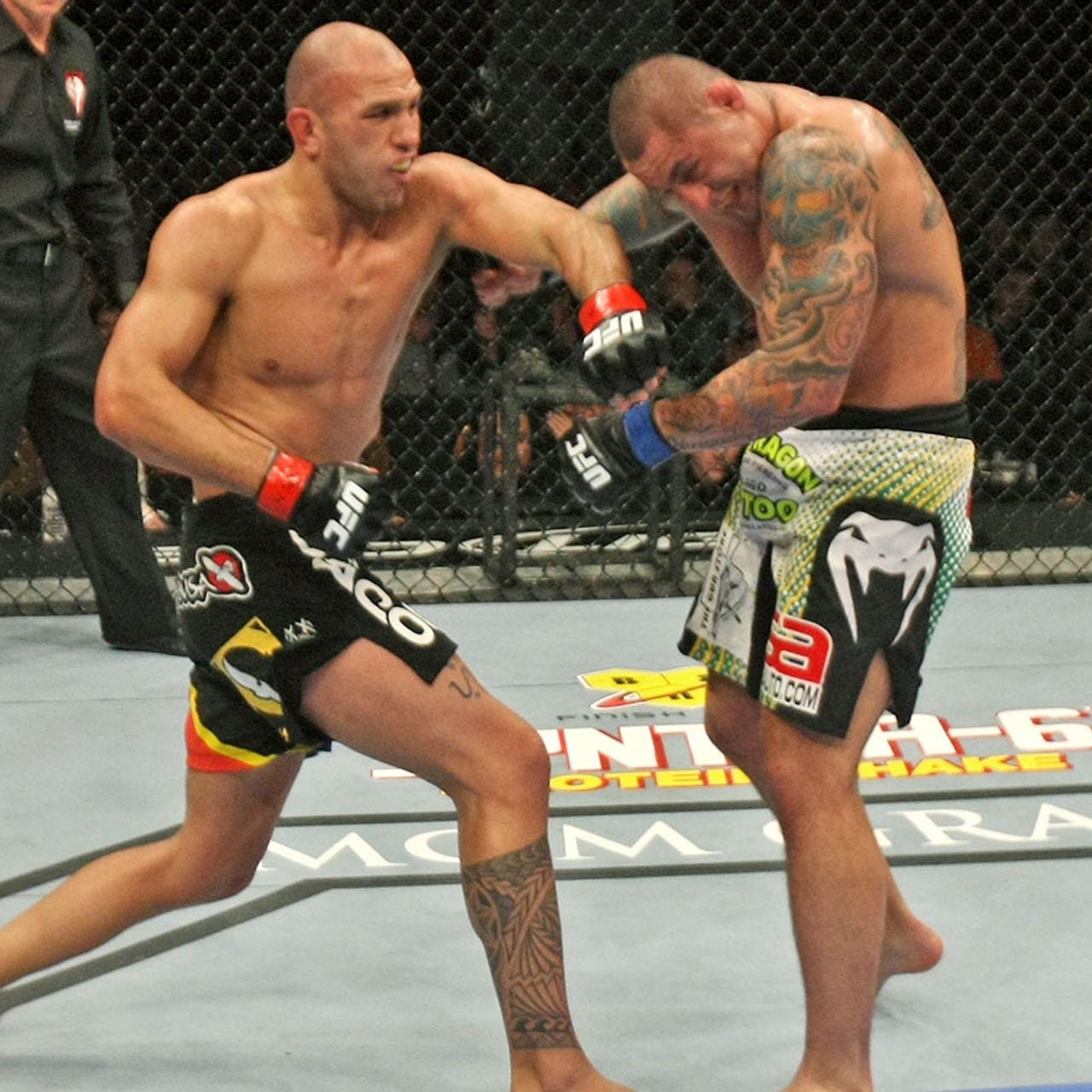 brandon vera