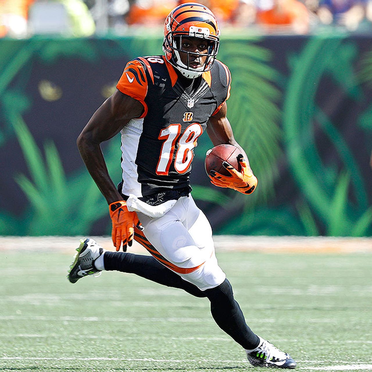 Aj Green Cheltenham