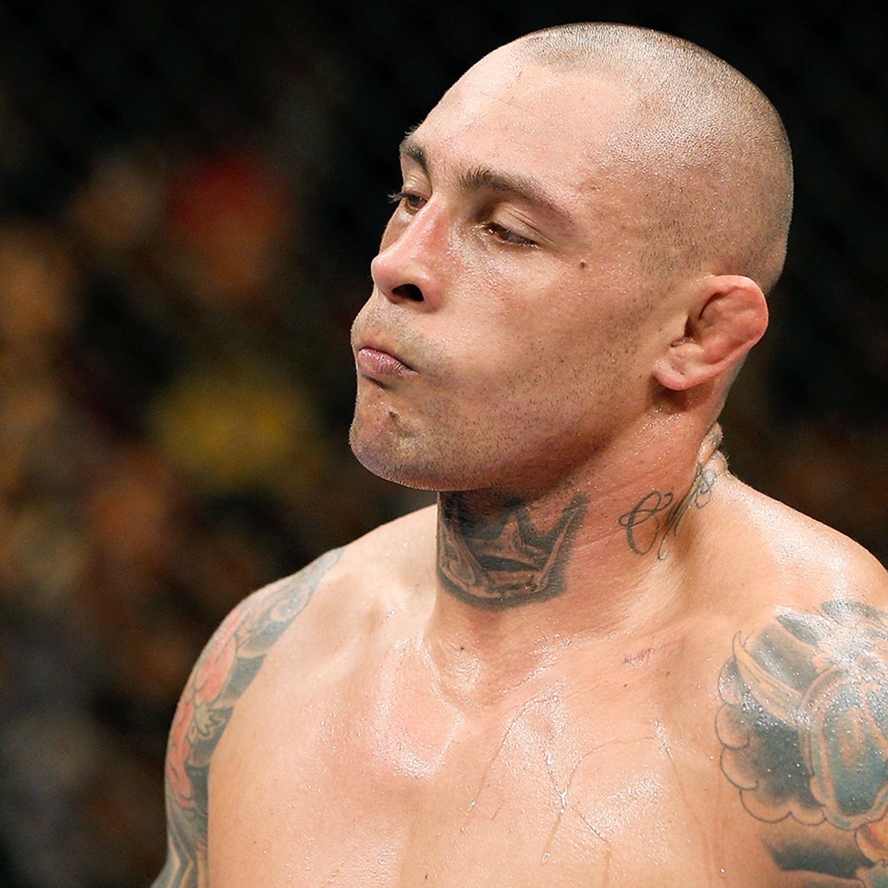 Thiago Silva Ufc Tattoos