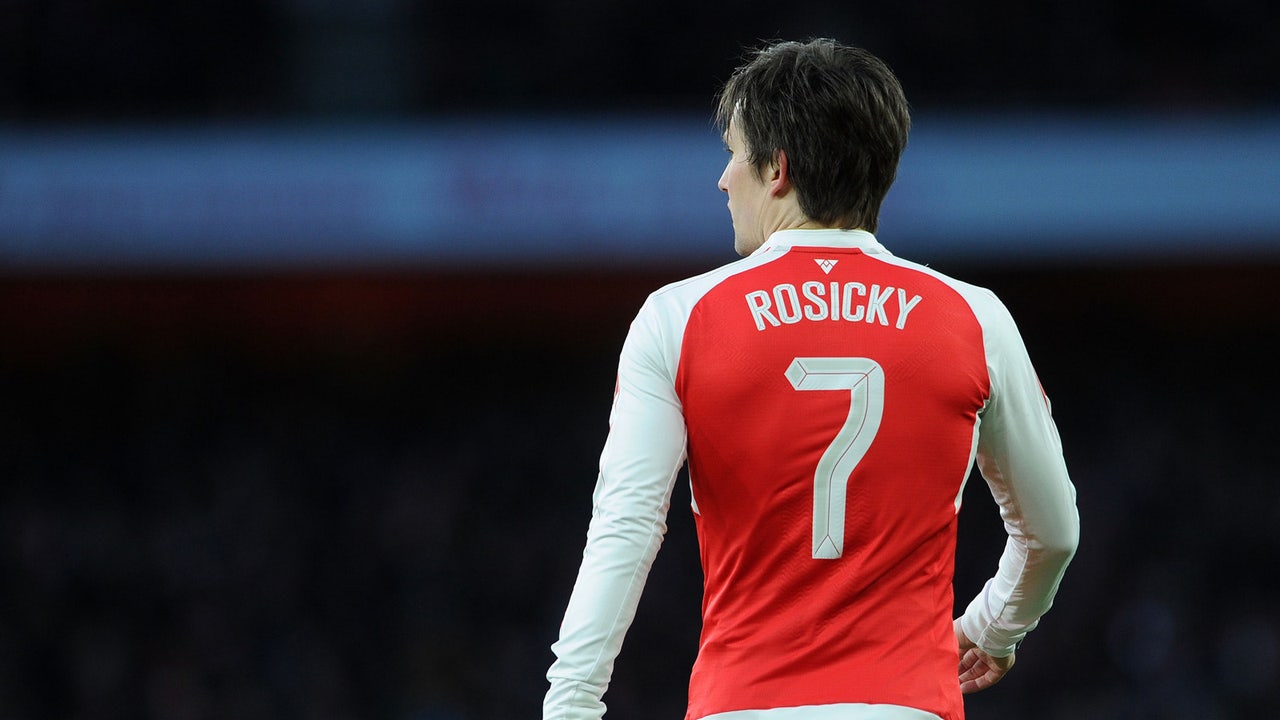 rosicky fifa