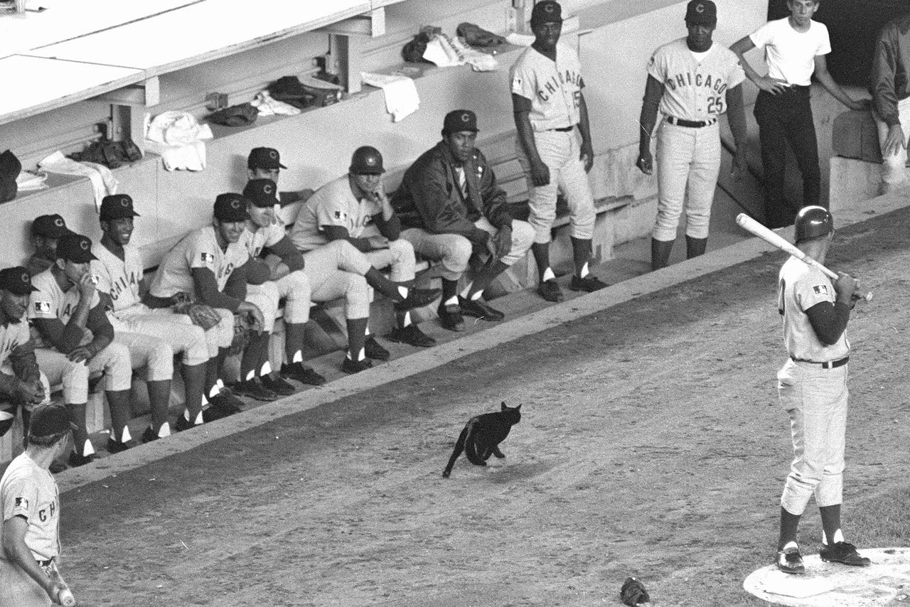 Revisiting 100-plus years of Cubs' greatest moments and biggest misses ...