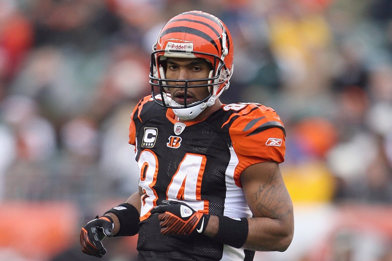 T.J. Houshmandzadeh joins Bengals staff as coaching intern | FOX Sports