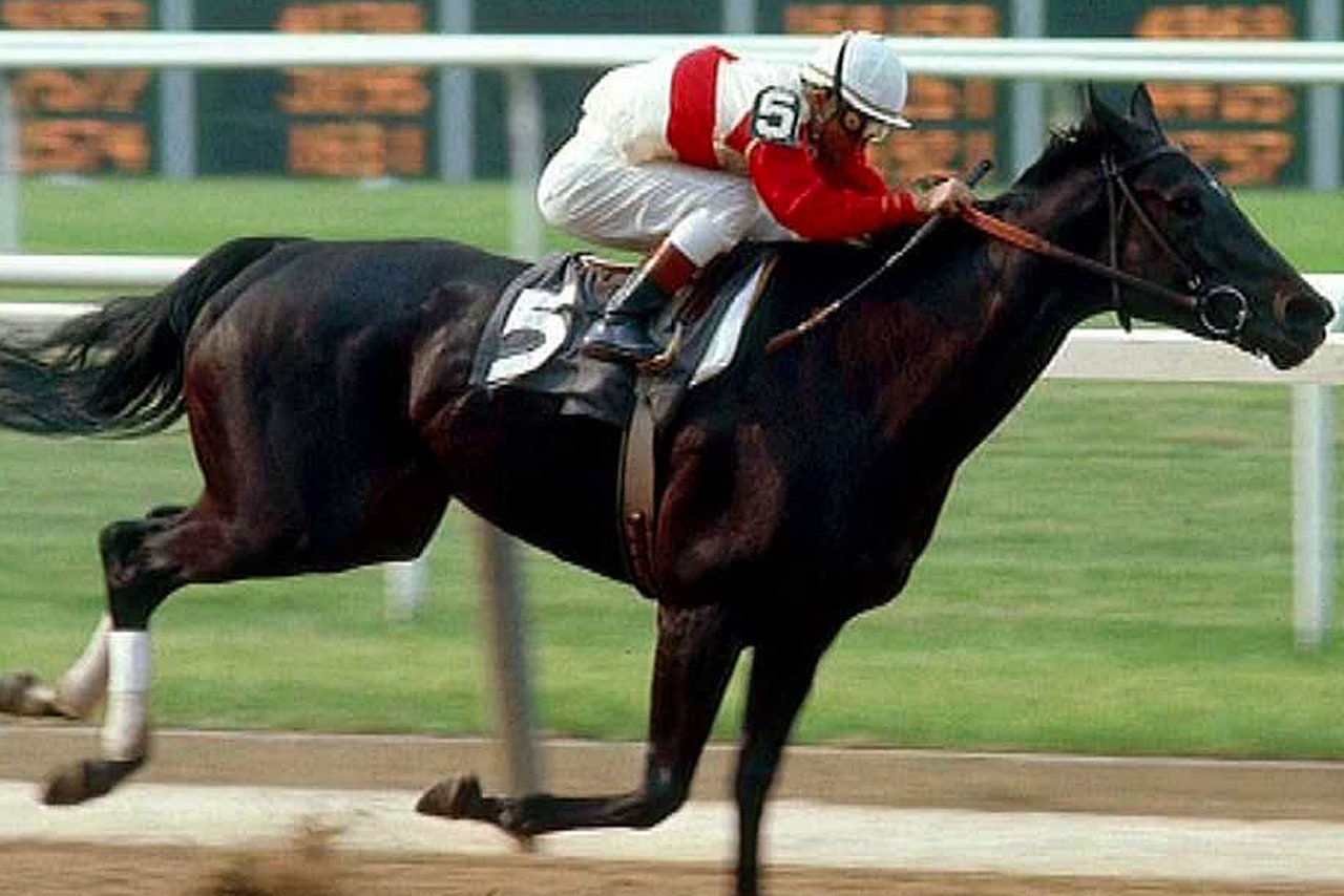 Ruffian suffered fatal injury in match race 40 years ago | FOX Sports