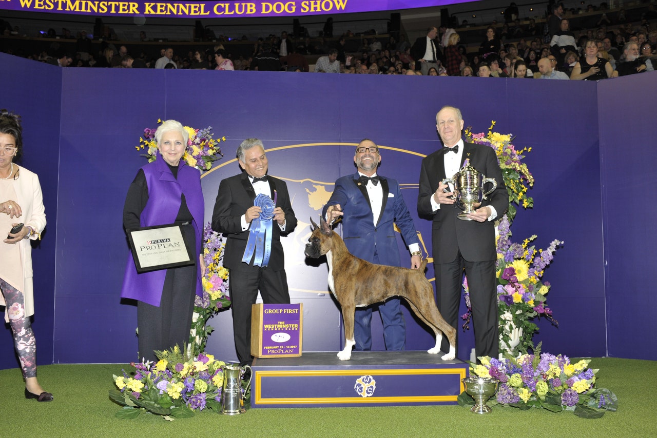 Westminster Dog Show Group Results (Day 2) | FOX Sports