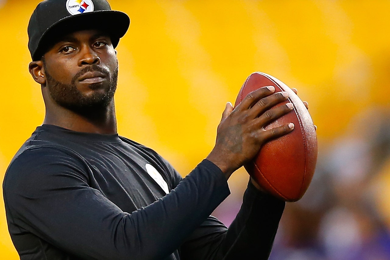Film reveals what happened to Michael Vick's dogfighting pit bulls ...