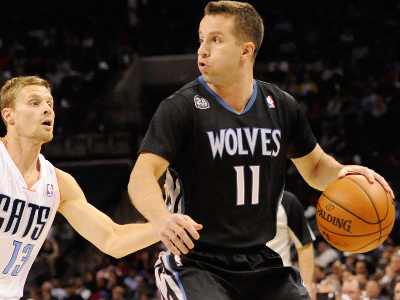 Jj Barea Timberwolves