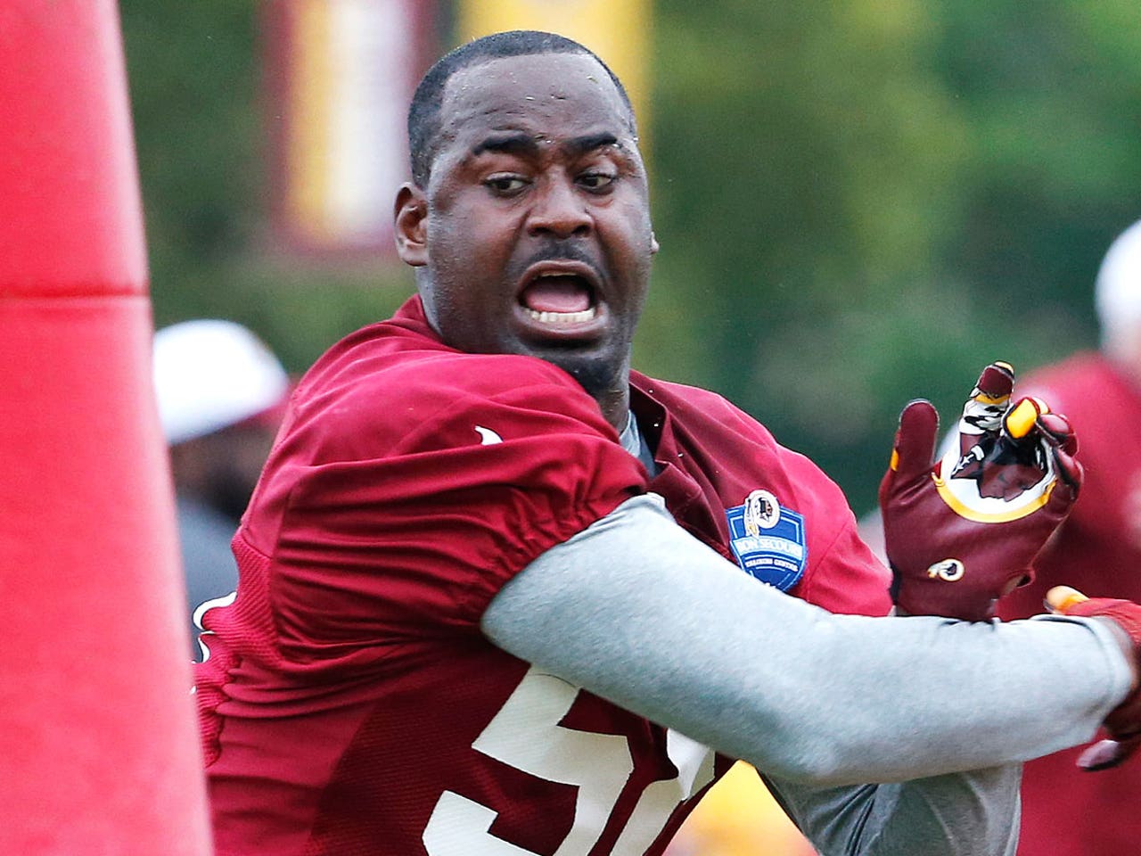 junior galette