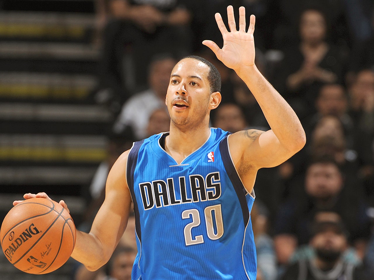 Devin Harris Mavericks