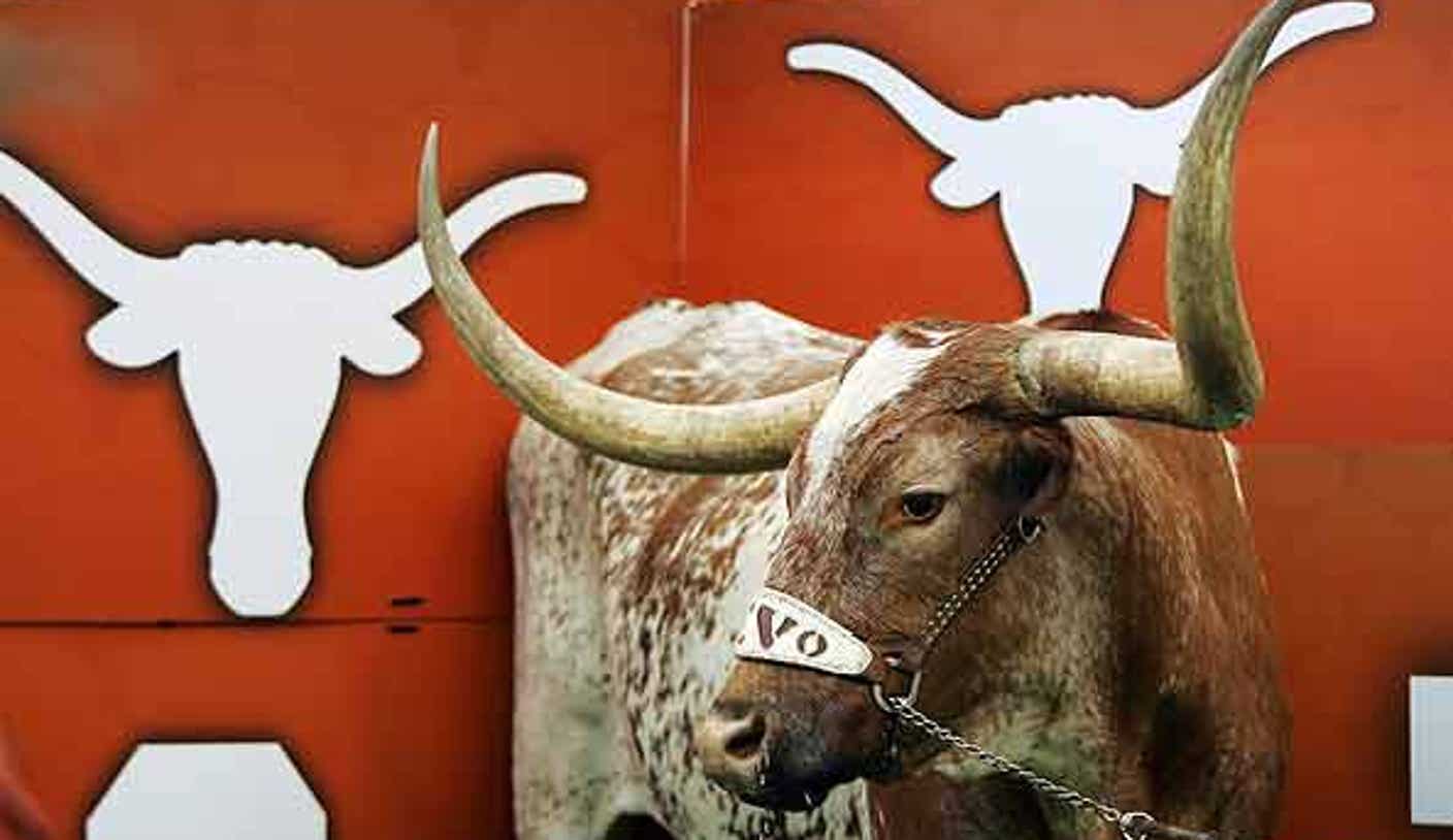 Texas Longhorns Real Mascot