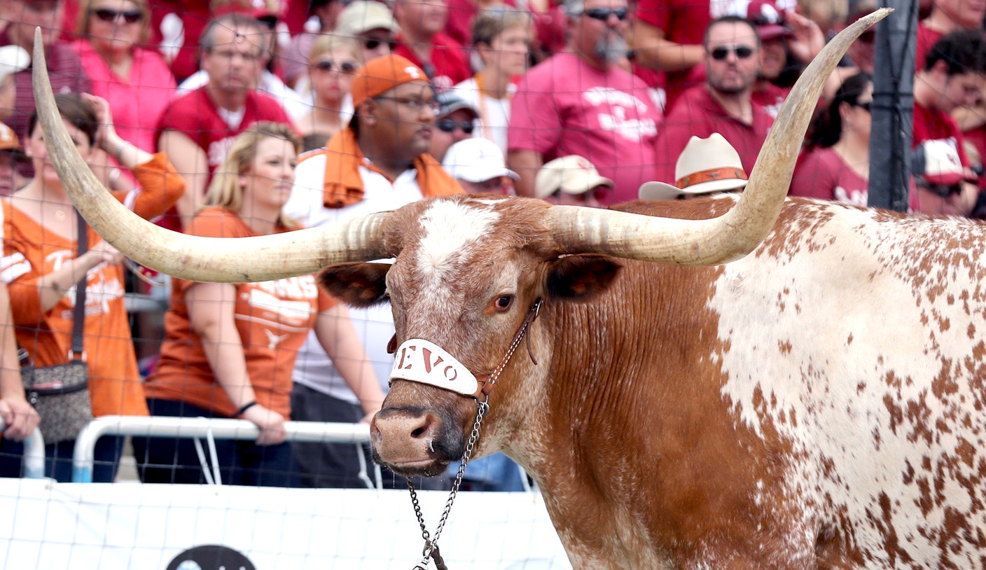 Texas Longhorns Mascot