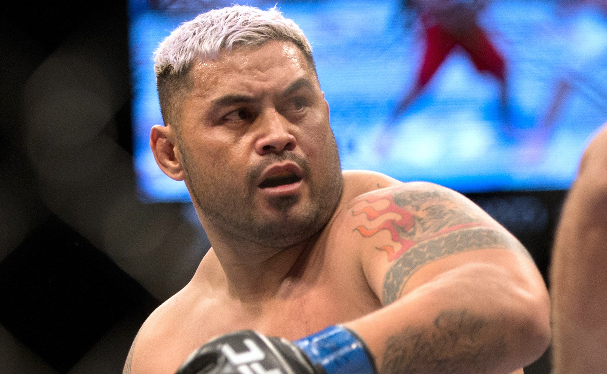 UFC heavyweight Mark Hunt explains why he tweeted that he was ...
