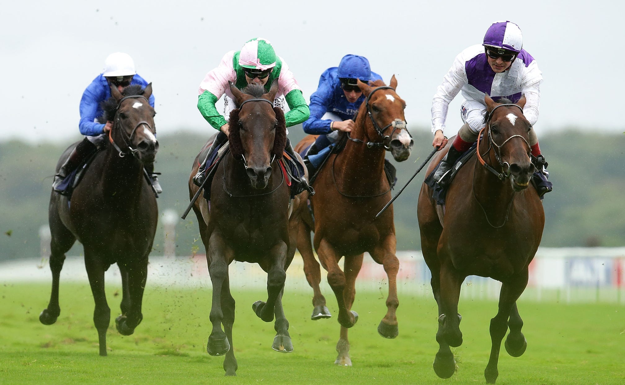 Errant golf ball winds up affecting horse race | FOX Sports