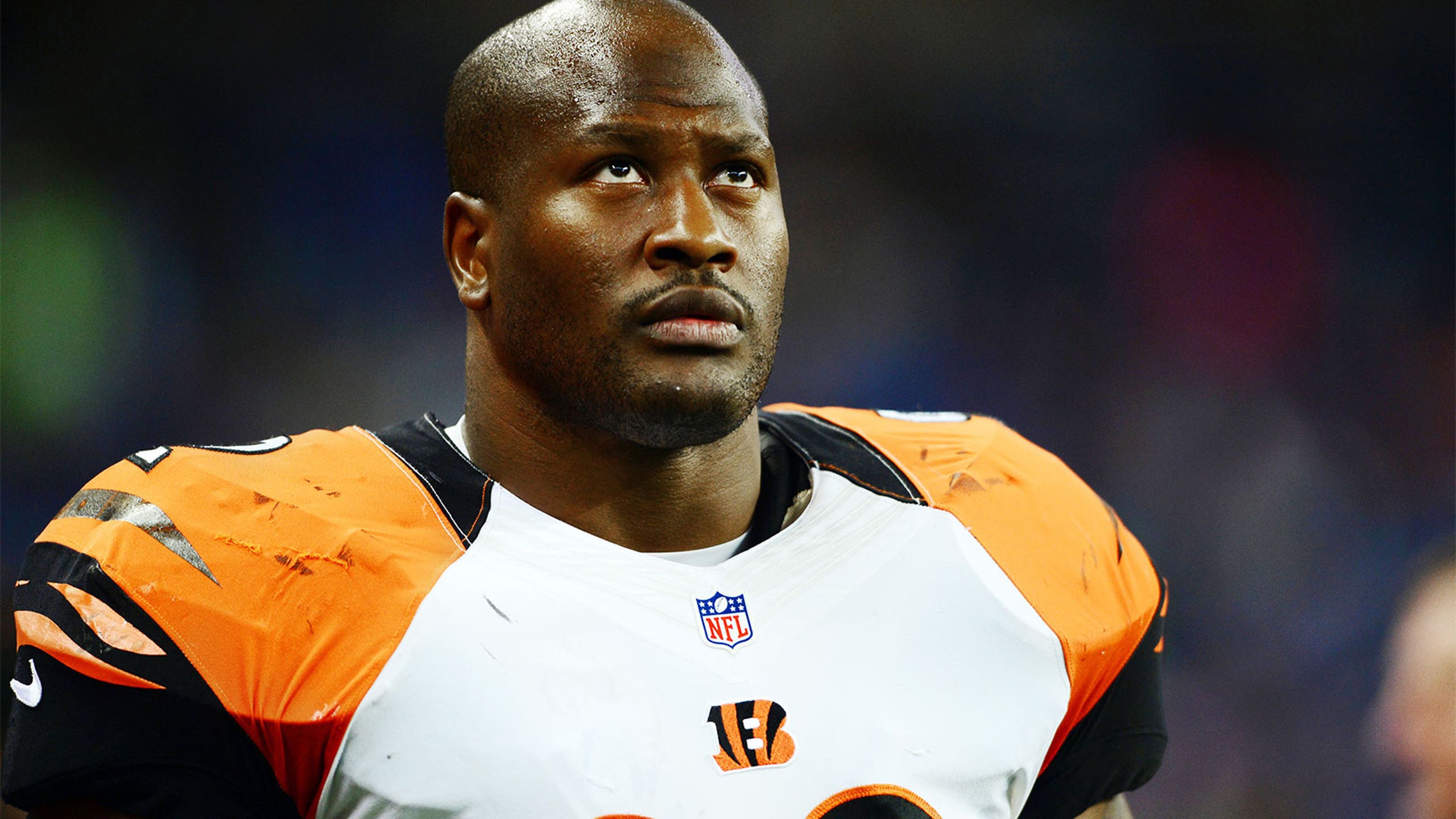 Bengals release James Harrison after one season | FOX Sports