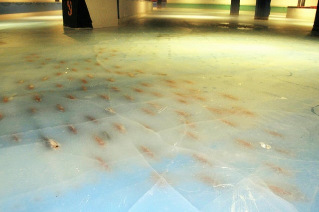 Japanese theme park forced to apologize for creepy skating rink full of ...