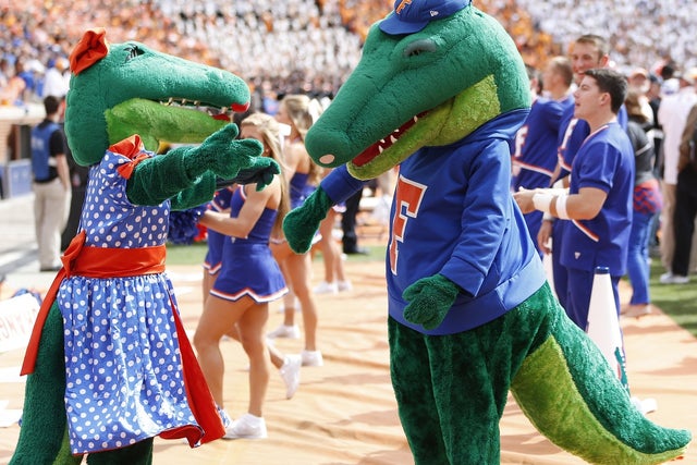 Florida Gators Mascot