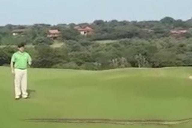 WATCH: Two venomous snakes do battle on South African golf course | FOX ...