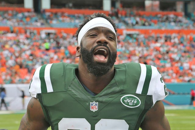 Ed Reed Career Highlights - American sports