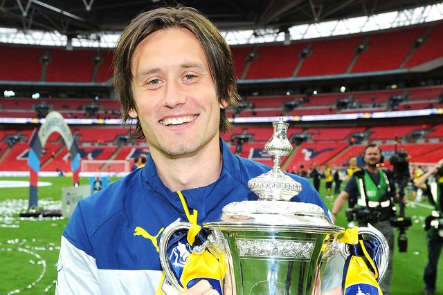 rosicky fifa