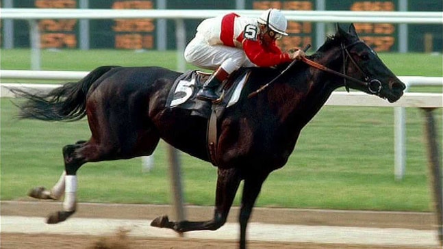 Ruffian suffered fatal injury in match race 40 years ago | FOX Sports
