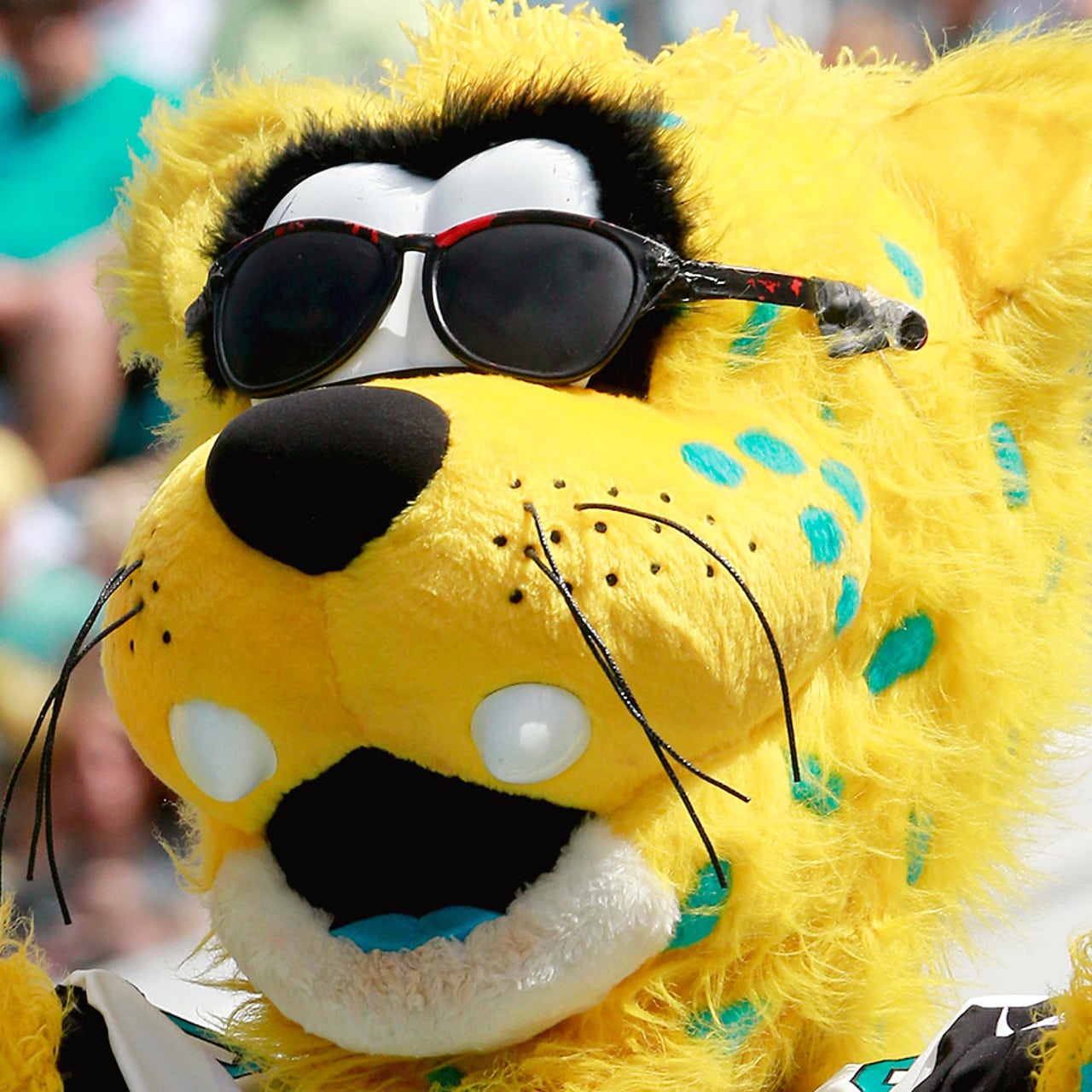 Jaguars Nfl Mascot