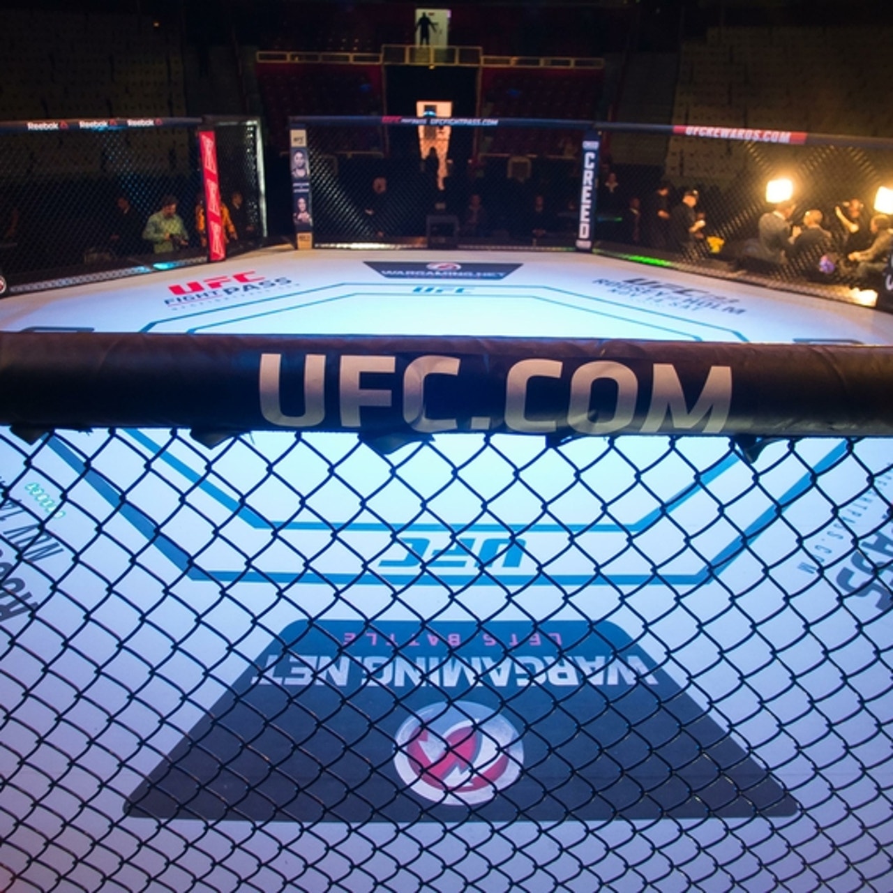 Empty Ufc Octagon