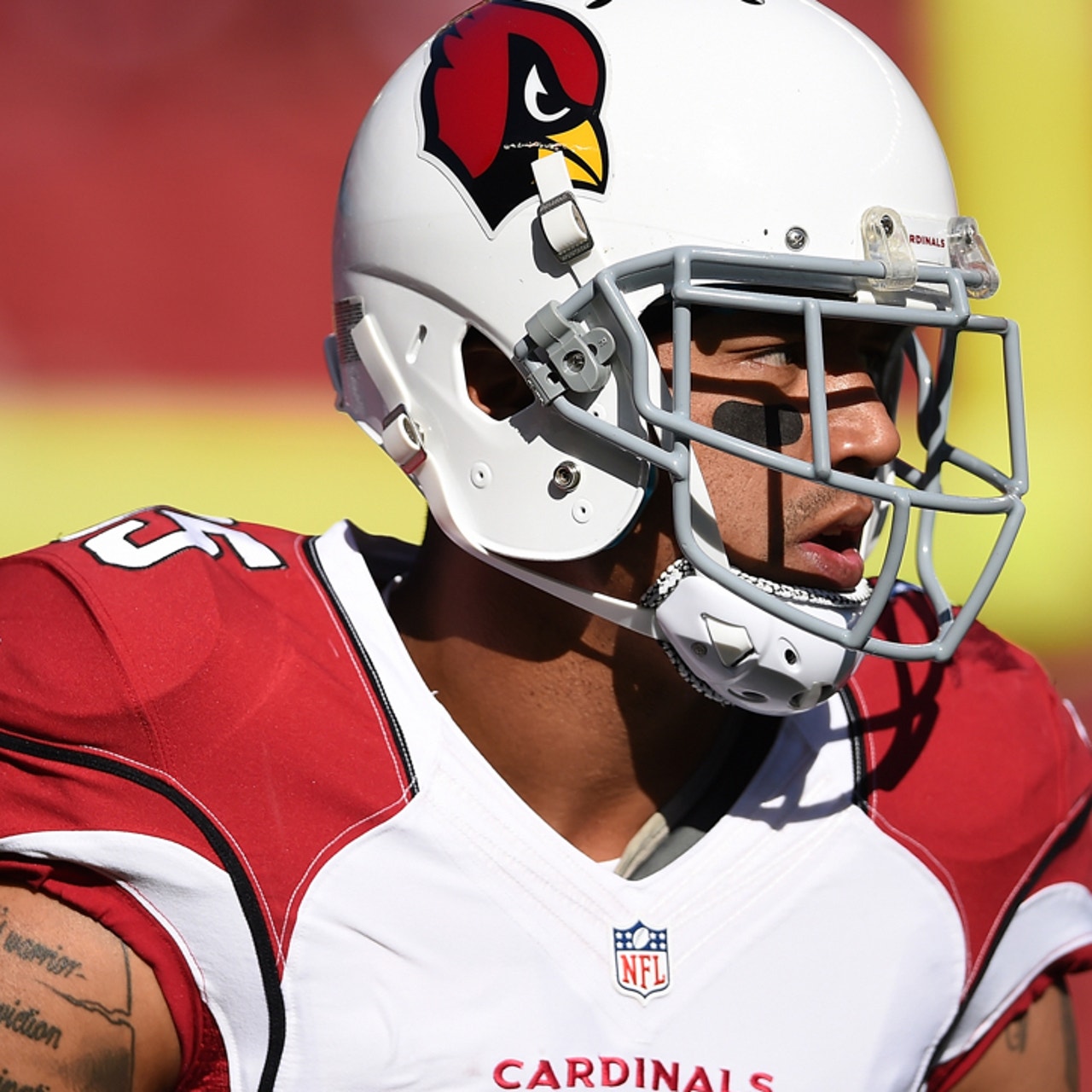michael floyd dui