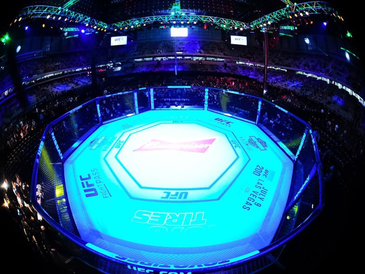 inside ufc octagon