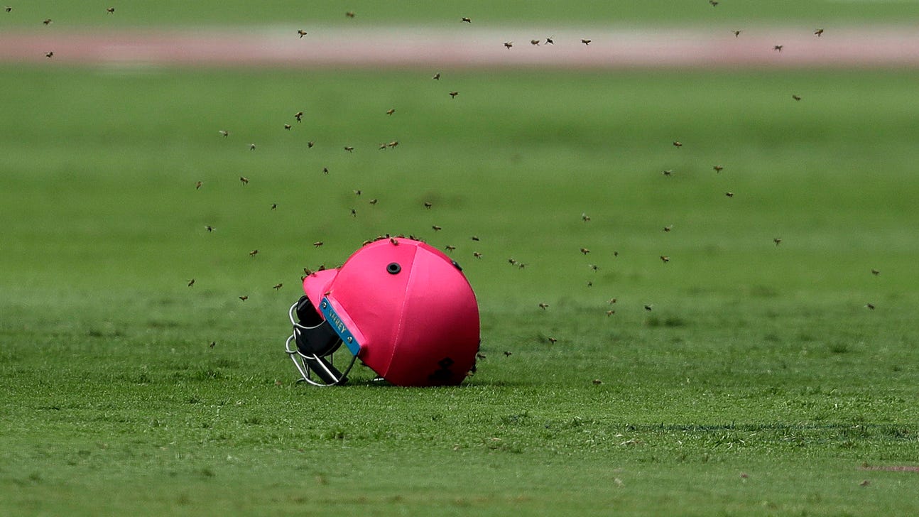 Watch: Bees swarm cricket match and it's an absolute nightmare | FOX Sports