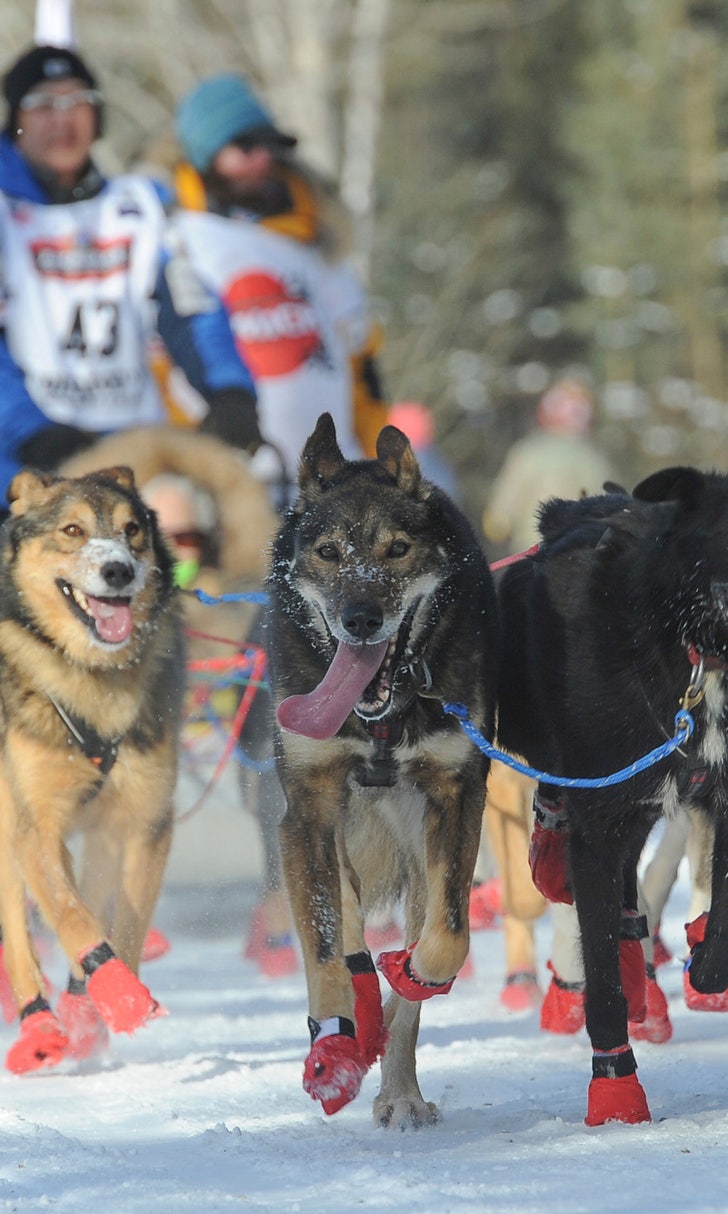 Alaska musher leads in the early stage of the Iditarod | FOX Sports