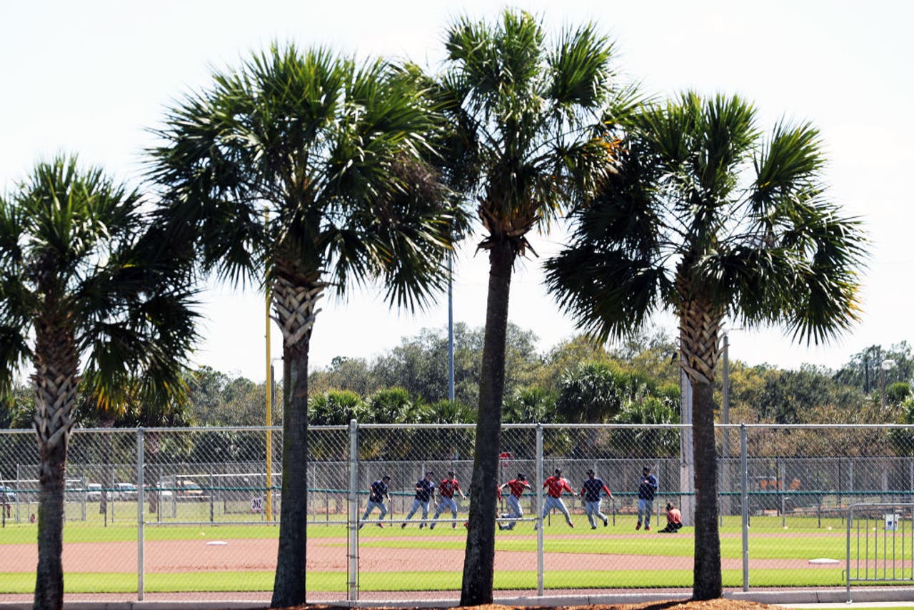 An insider's guide to baseball spring training | FOX Sports