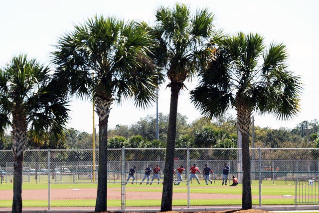 An insider's guide to baseball spring training | FOX Sports