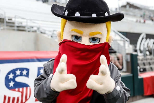 Union College Dutchmen Mascot