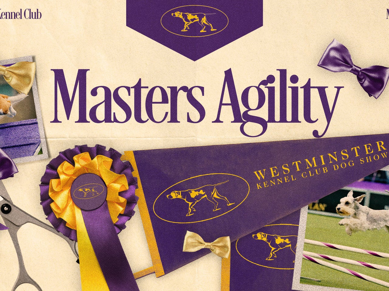 dog masters